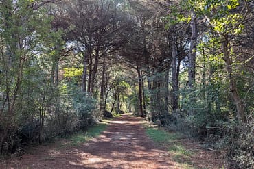 Cycloscope: Bikepacking, Touring, Backpacking, Adventure Cycling ...